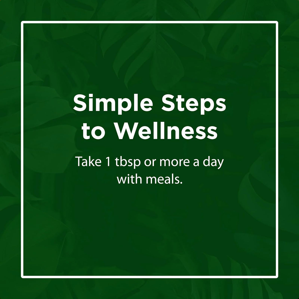 plant-based omega blend for wellness