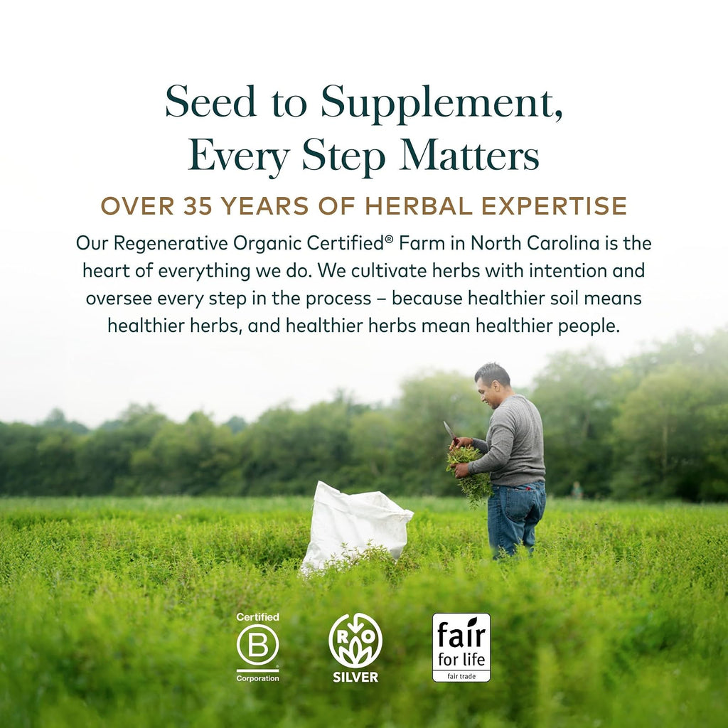 plant-based oregano oil capsules