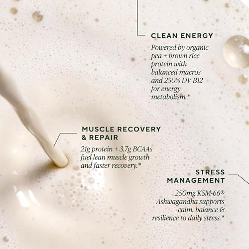 plant-based protein for active lifestyles
