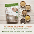 plant based protein for athletes