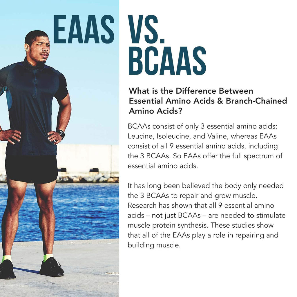 plant-based protein for fitness