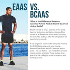 plant-based protein for fitness