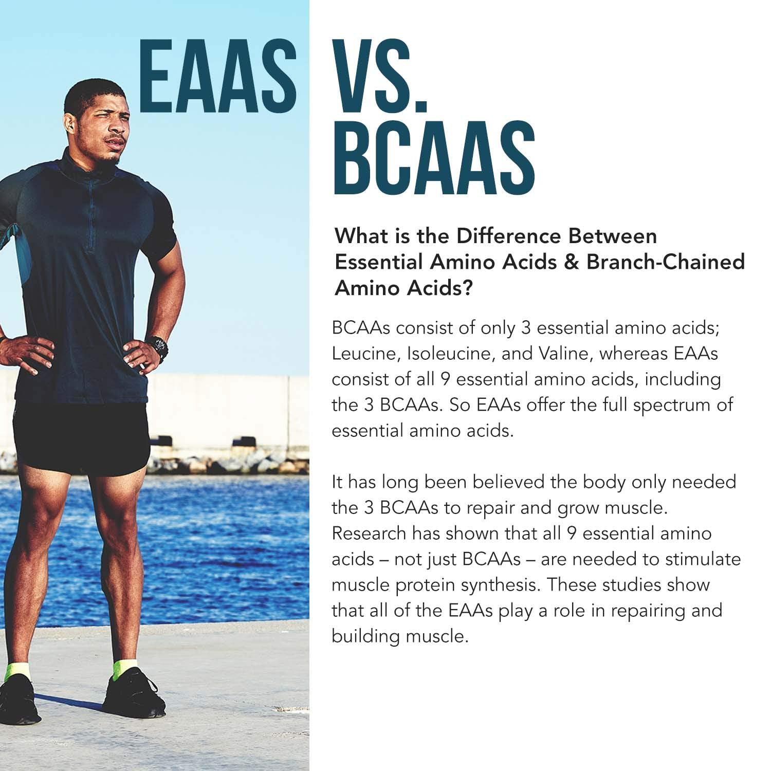plant-based protein for fitness