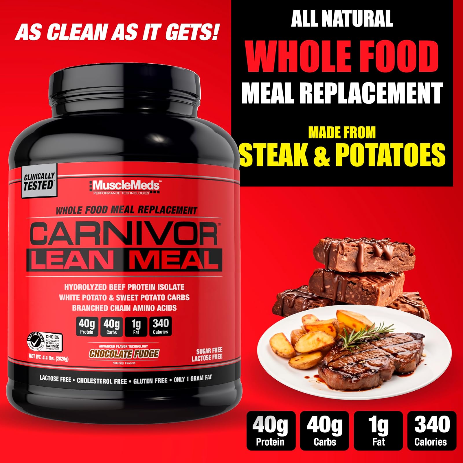 plant based protein for muscle gain