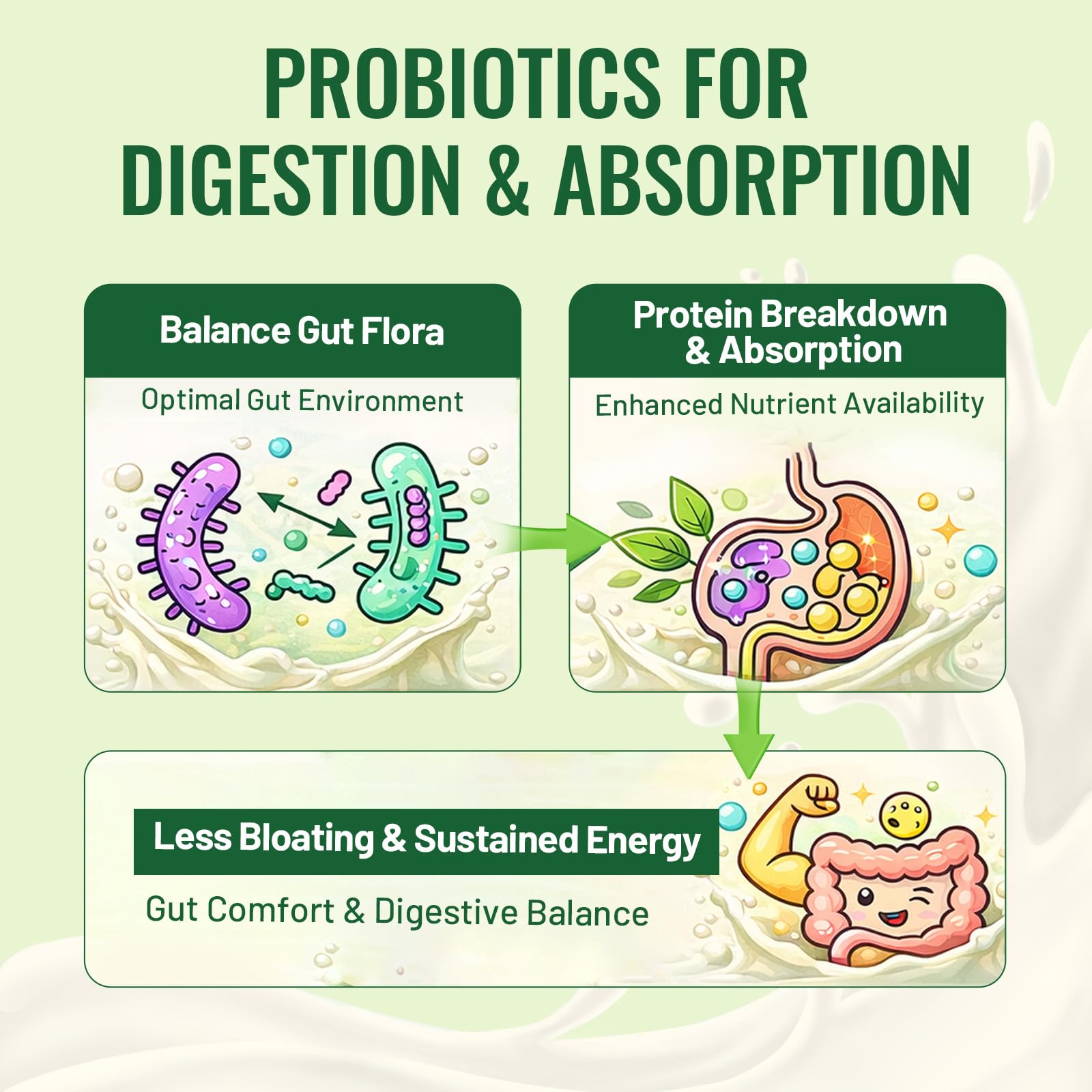 Plant-based protein for muscle growth
