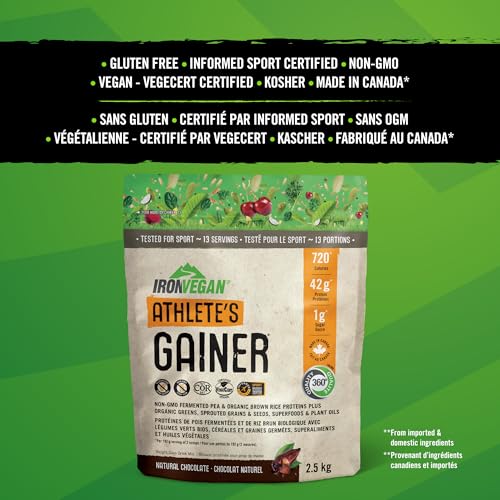 plant-based protein for muscle growth