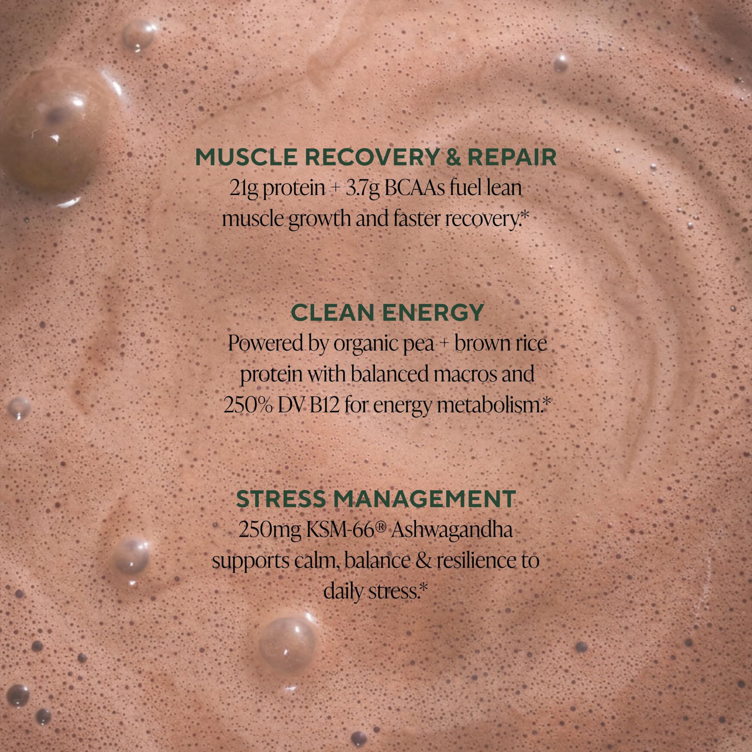 plant-based protein for muscle recovery