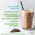 plant based protein for muscle recovery