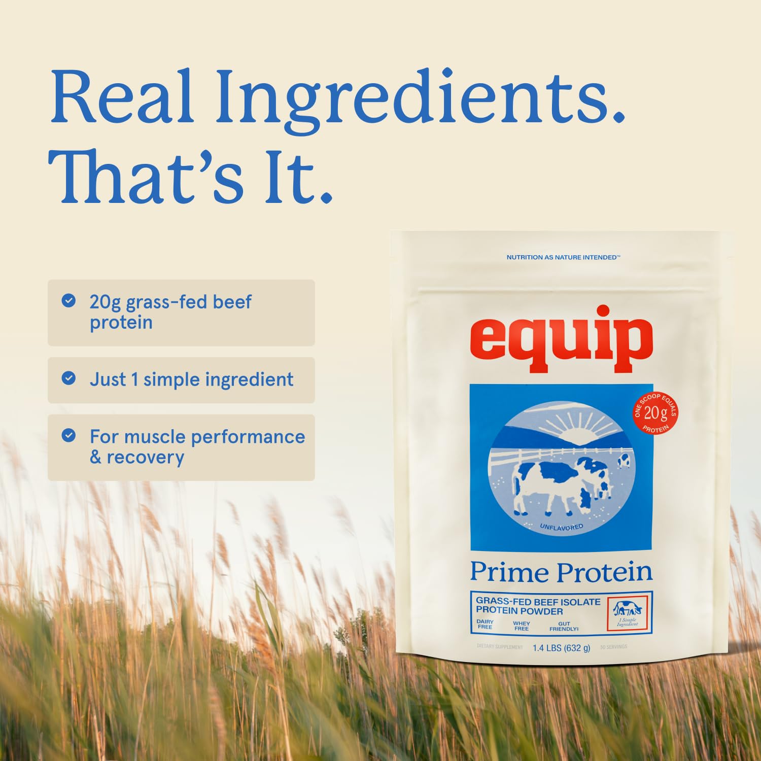 plant based protein for muscle recovery