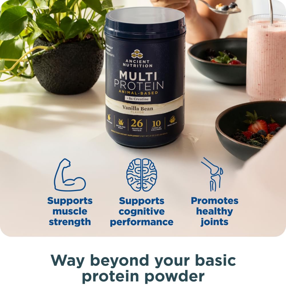 plant based protein for muscle recovery