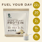 plant-based protein for muscle recovery