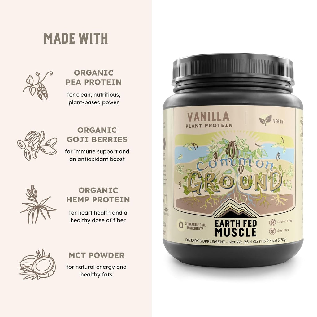 plant-based protein for muscle recovery