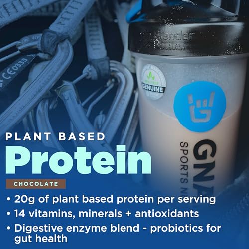 plant based protein for muscle recovery