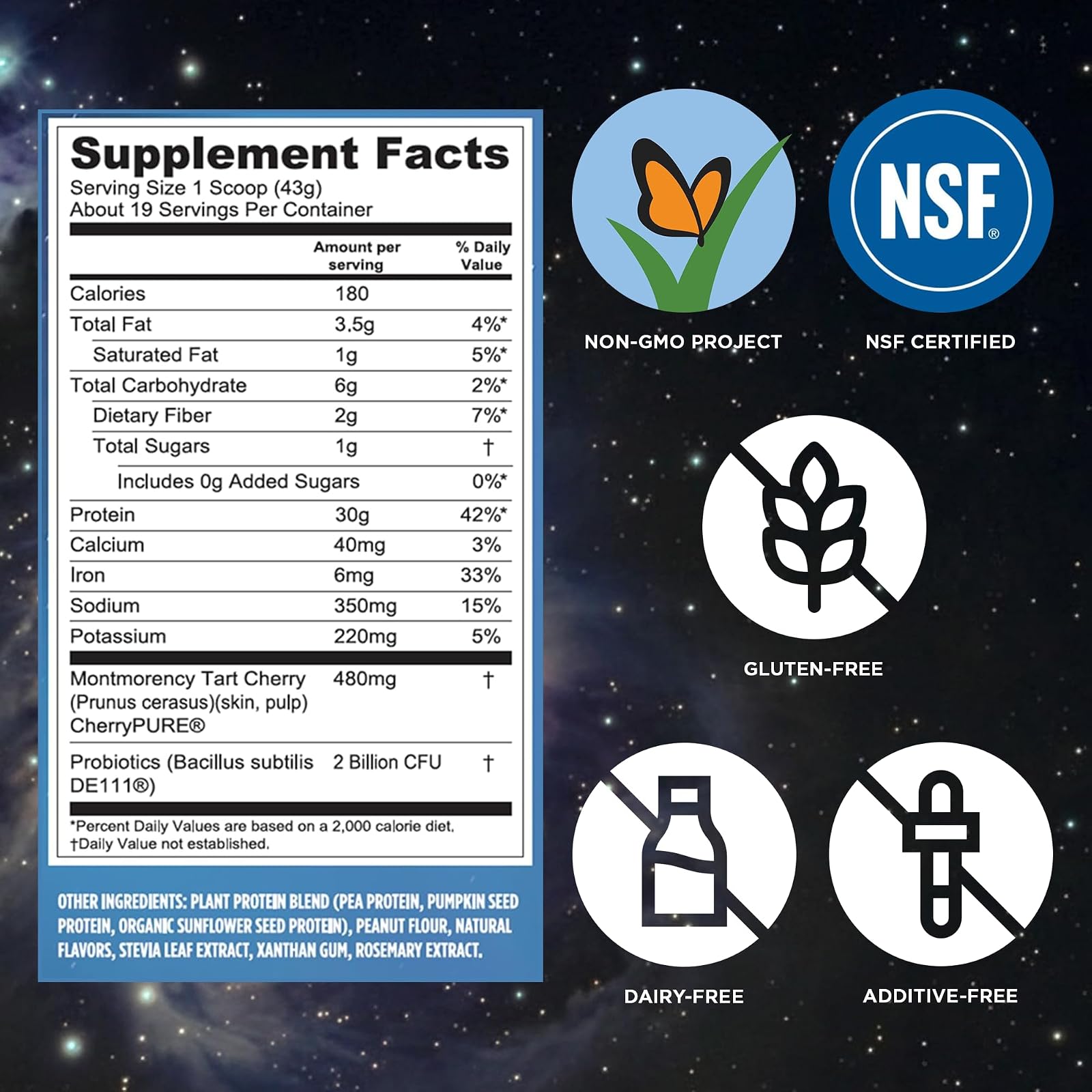 Plant based protein for post workout