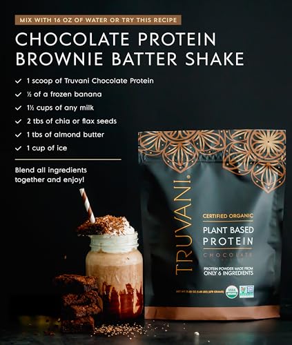 plant based protein for post workout