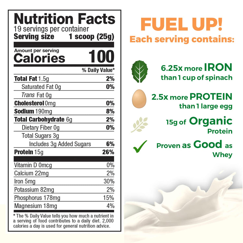 plant based protein for smoothies