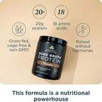 plant based protein for smoothies