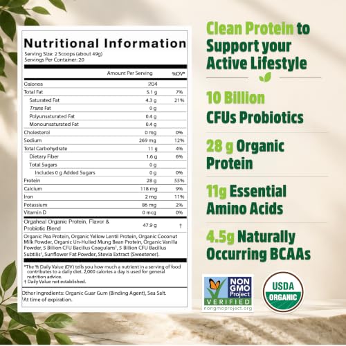 plant based protein for smoothies