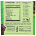 plant based protein for smoothies