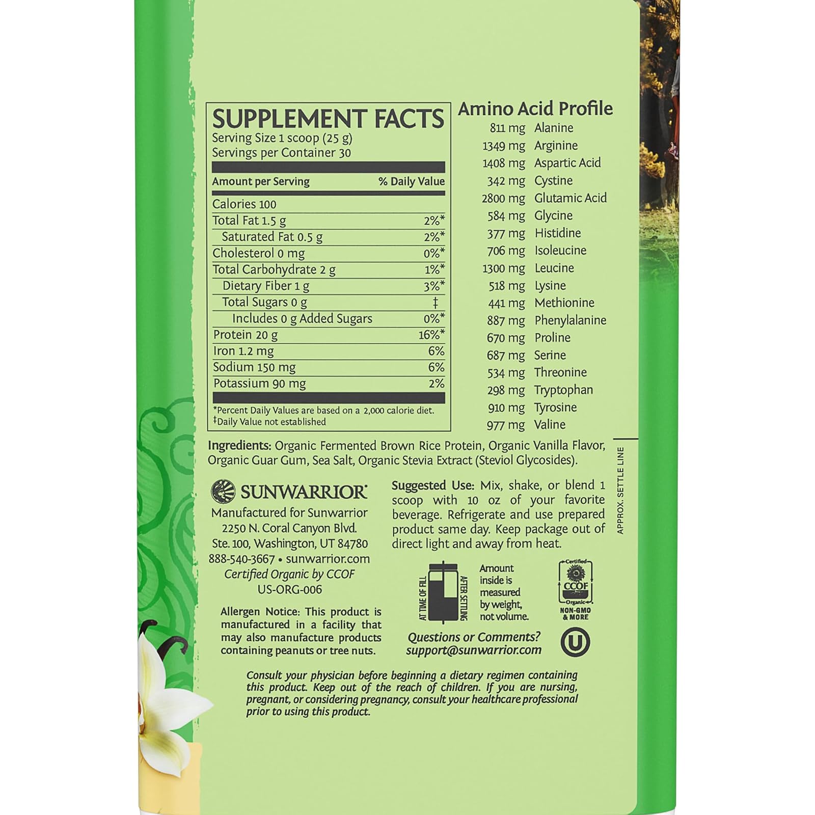 plant based protein for smoothies