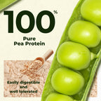plant based protein for smoothies