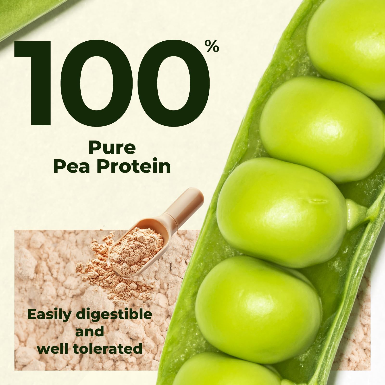 plant based protein for smoothies