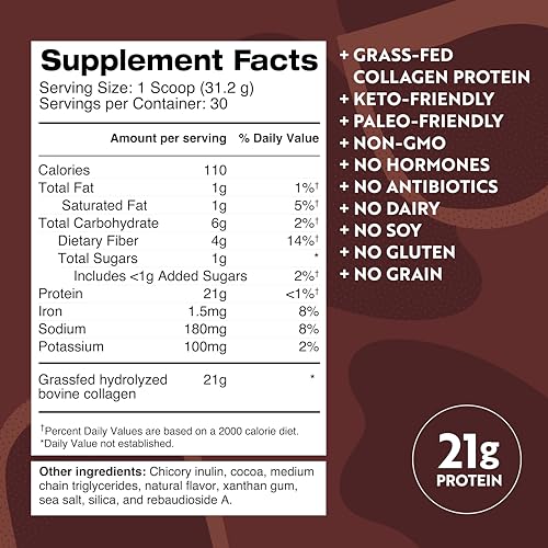 plant based protein for smoothies
