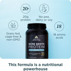 plant based protein for smoothies