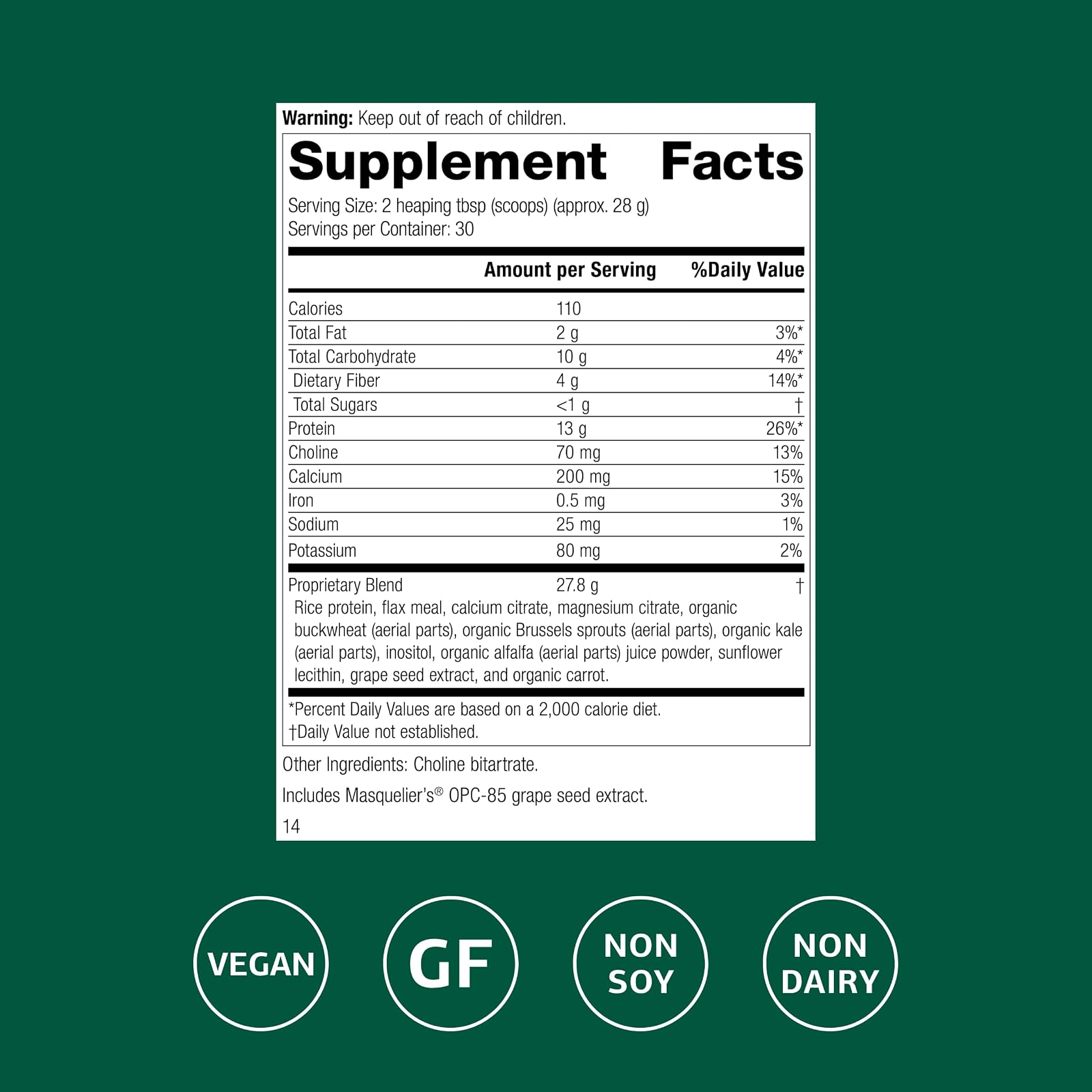 plant based protein for smoothies