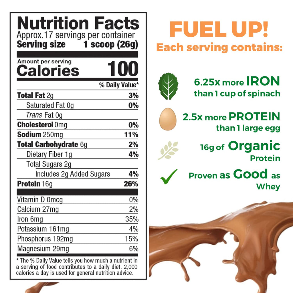 plant based protein for smoothies