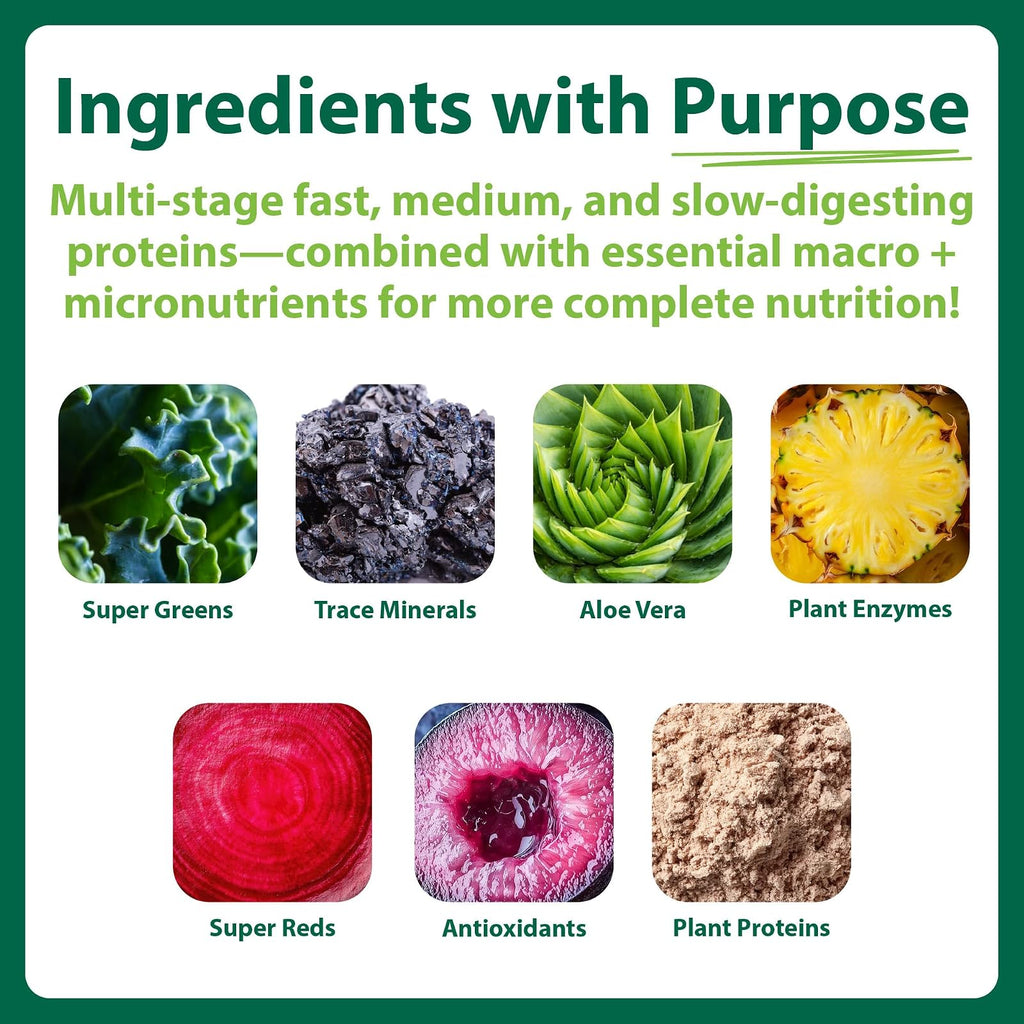 plant based protein for smoothies