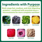 plant based protein for smoothies