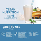 plant based protein for smoothies