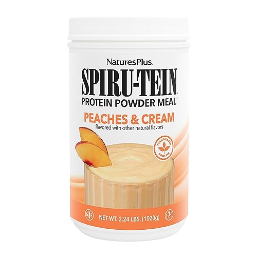 plant-based protein for vegetarians