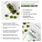 plant-based protein greens powder