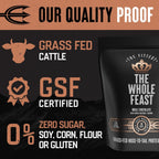 Plant based protein powder alternative