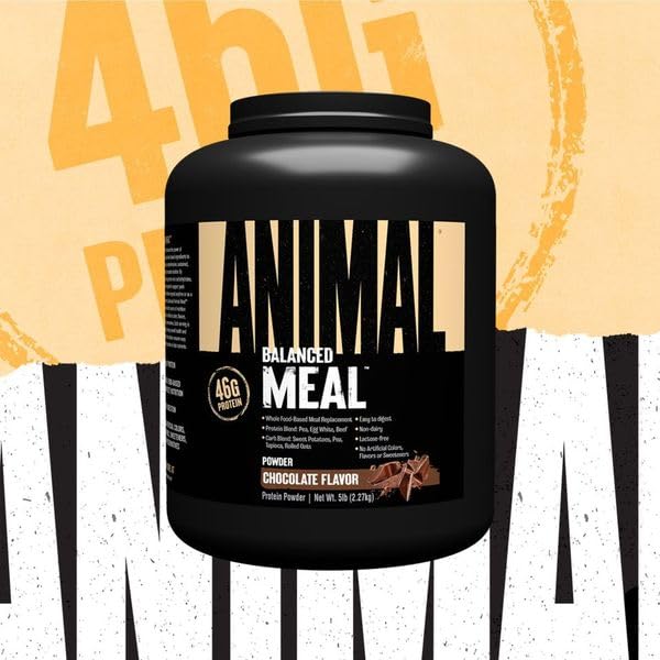 plant based protein powder for athletes