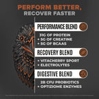 plant based protein powder for athletes