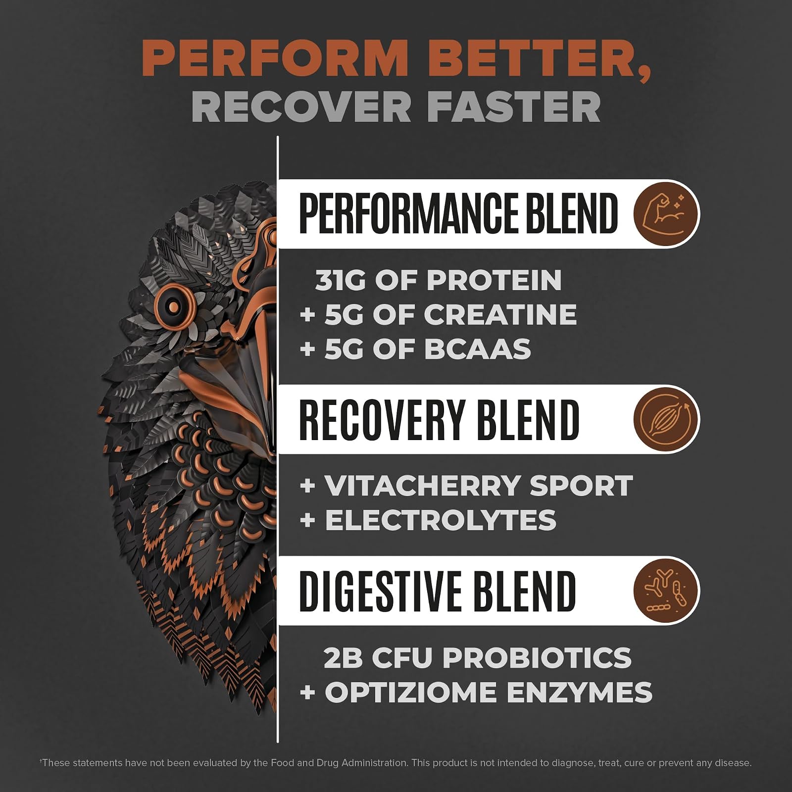 plant based protein powder for athletes