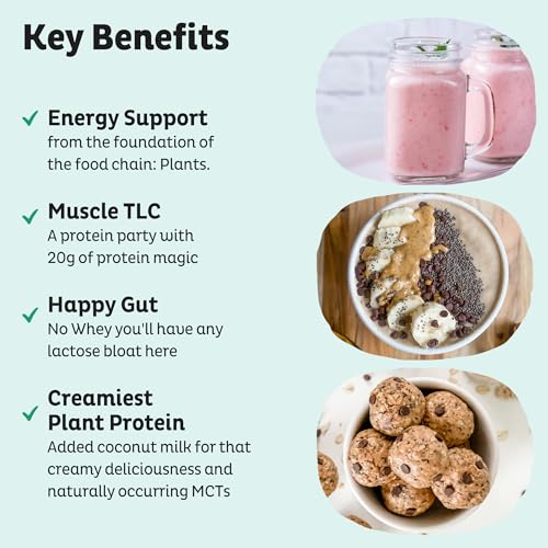 plant based protein powder for baking