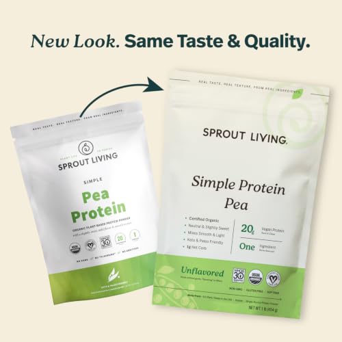 plant based protein powder for baking
