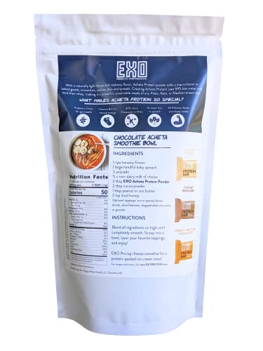 plant based protein powder for energy