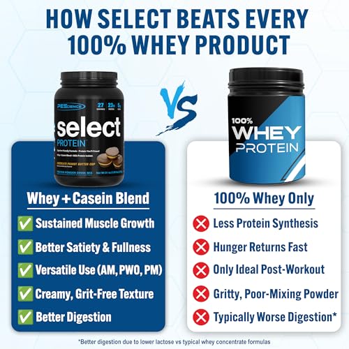 plant based protein powder for muscle gain