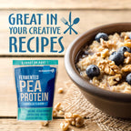 plant based protein powder for muscle recovery