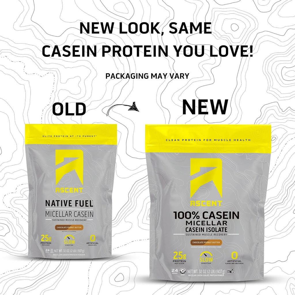 plant based protein powder for recovery