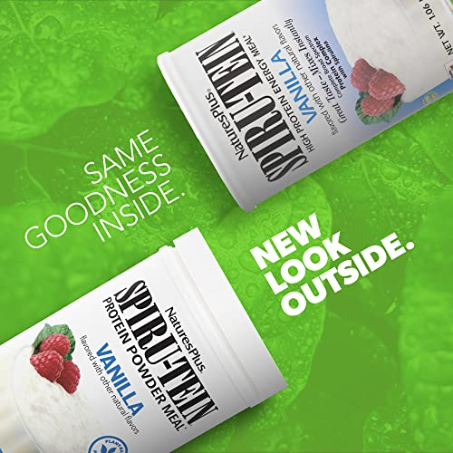 plant based protein powder for smoothies