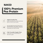 plant based protein powder for smoothies