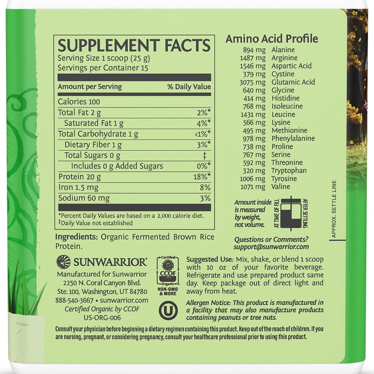 plant based protein powder for smoothies