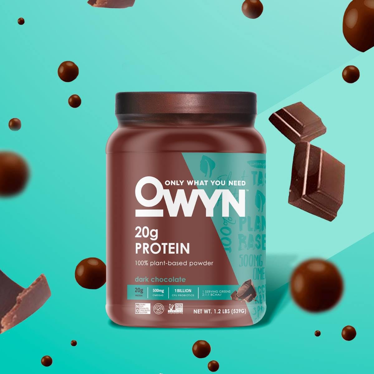 plant based protein powder for smoothies