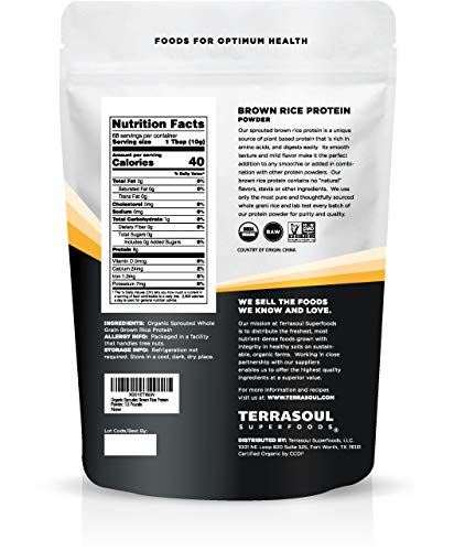plant based protein powder for smoothies